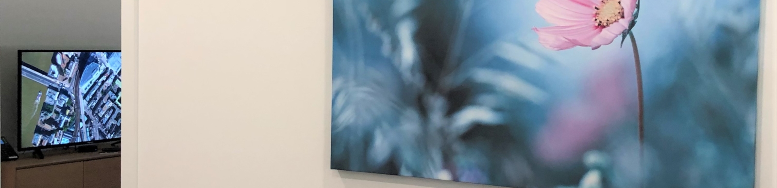 Serenity Art Acoustic Panels | Printed Custom Acoustic Wall Panels
